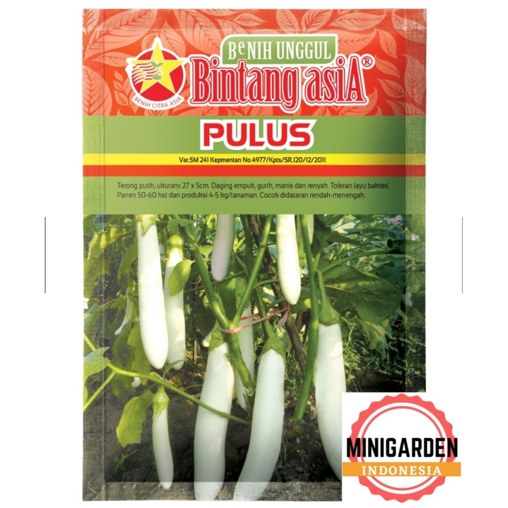 Jual TERONG PUTIH PULUS 10 GRAM PACK BESAR benih bibit bijii terung ...