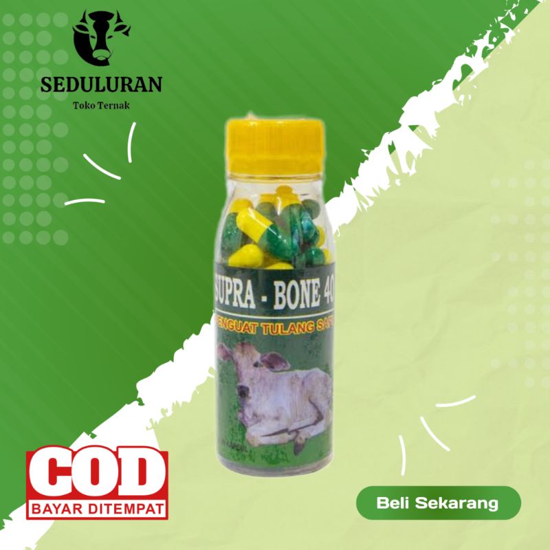 Jual Supra Bone 40 Capsul Original - Penguat Tulang Sapi Kambing Domba ...