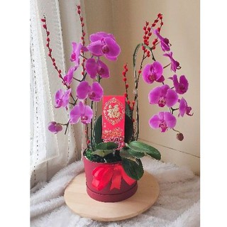 Jual Chinese New Year Vase - Bingkisan Dekorasi Imlek - Vas Imlek CNY ...