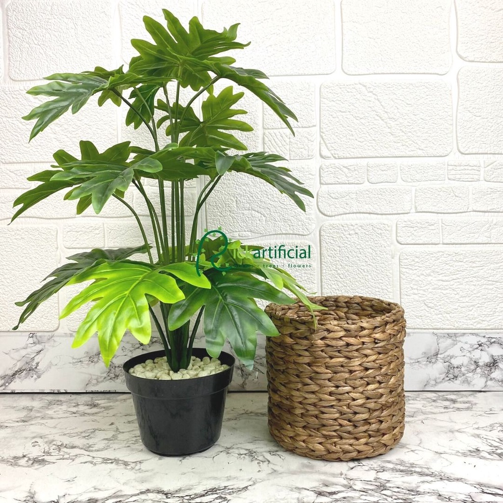 Jual Pohon Daun Mosntera Jari Semi Latex Artificial Cover Eceng Gondok ...