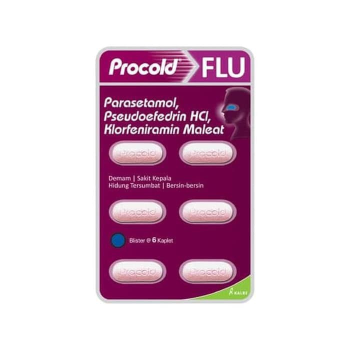 Jual PROCOLD FLU PARACETAMOL 6 KAPLET/OBAT | Shopee Indonesia