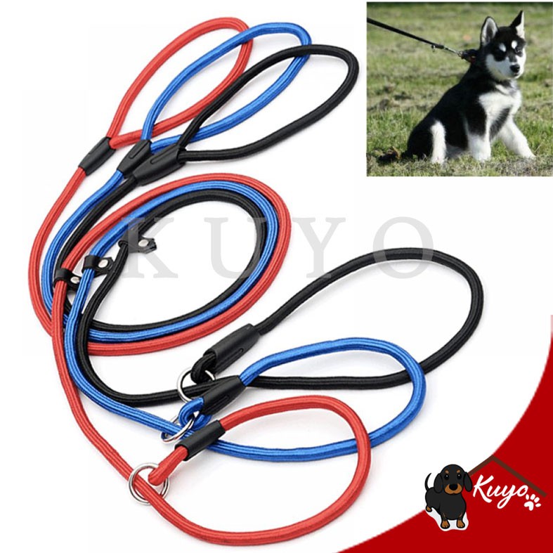 Jual Tali Tuntun Anjing Kucing / Small Medium Big Dog / Slip Lead Dog ...
