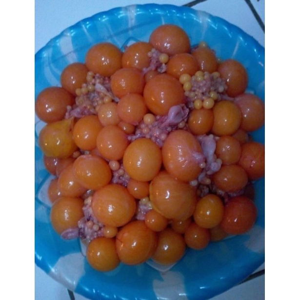 Jual Telur Ayam Muda / Uritan Ayam Berat 500 Grm | Shopee Indonesia