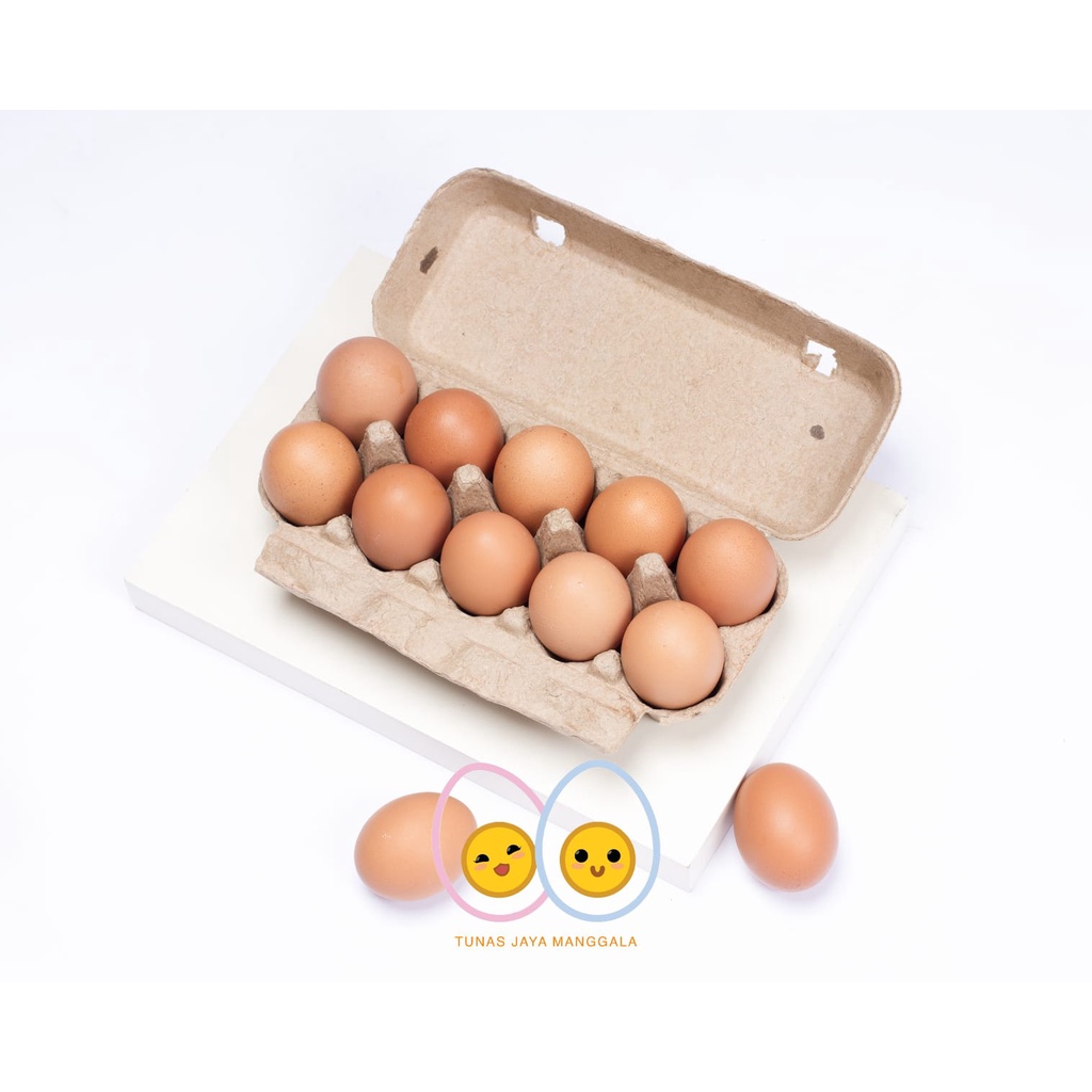 Jual Paper egg box 10 lubang/ kotak telur/box kotak telur kertas ...