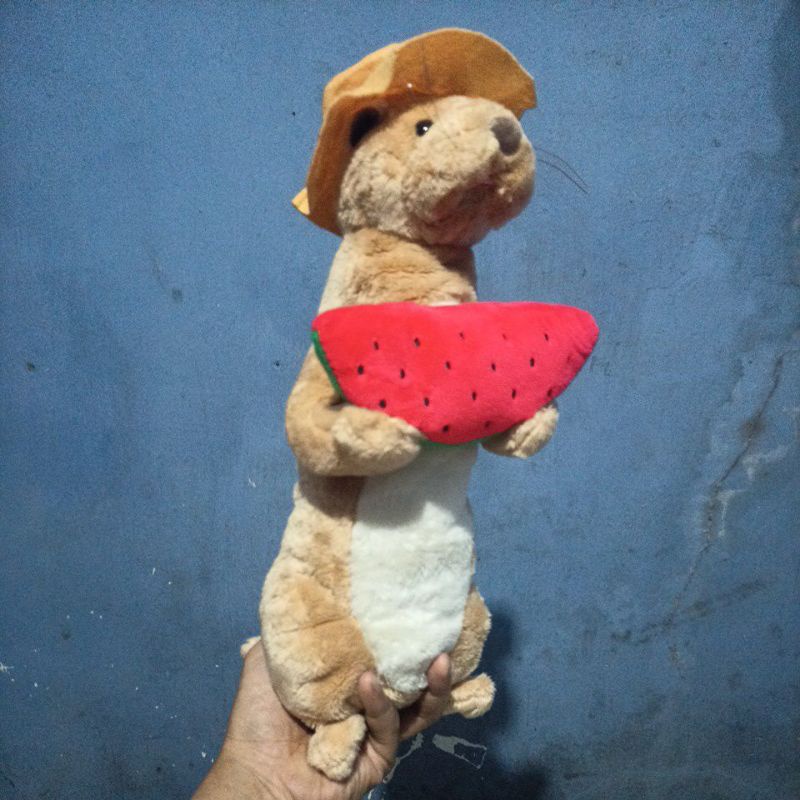 Jual Boneka Berang-berang lembut 2and | Shopee Indonesia
