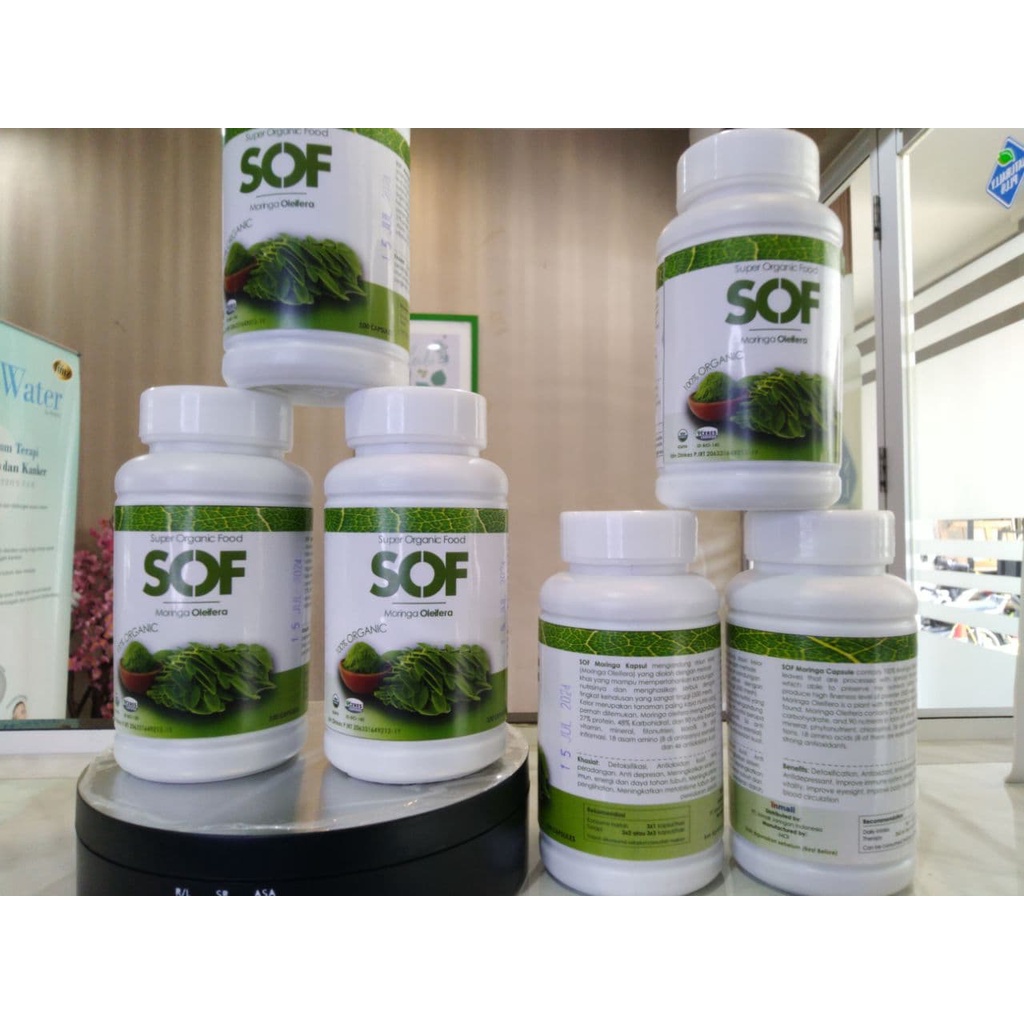 Jual SOF moringa oleifera daun kelor Indonesia|Shopee Indonesia