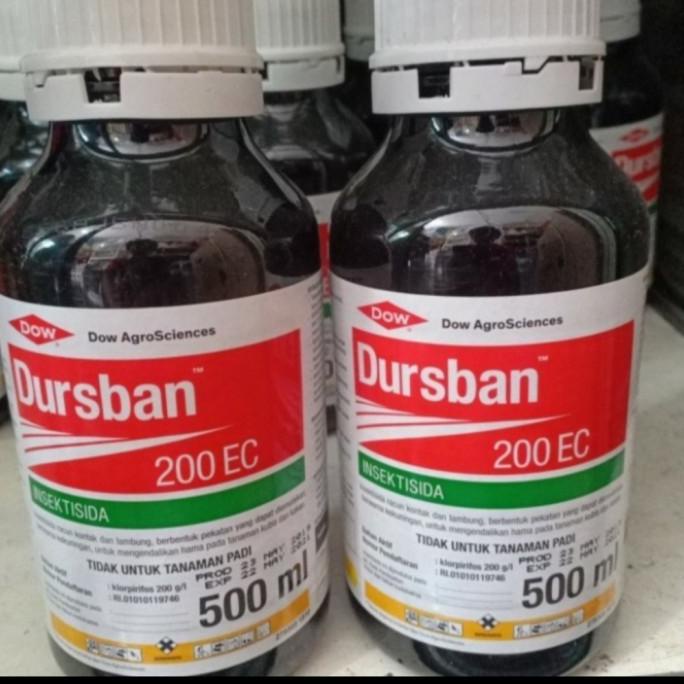 Jual insektisida dursban 500ml | Shopee Indonesia