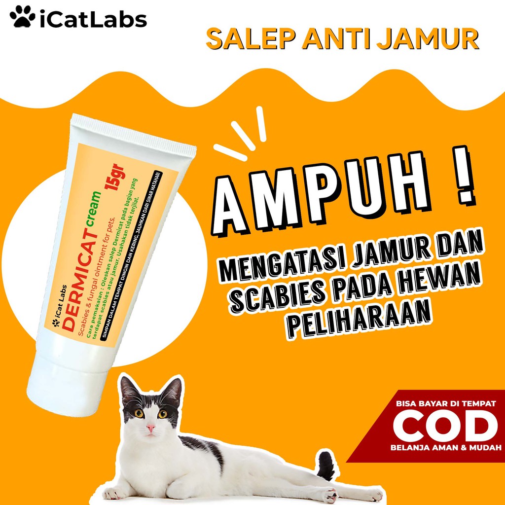 Jual [D02] DERMICAT - SALEP ANTI JAMUR ANTI SCABIES KUCING ANJING OBAT ...