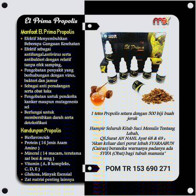 Jual 1 Paket Plant A El Prima Propolis | Shopee Indonesia