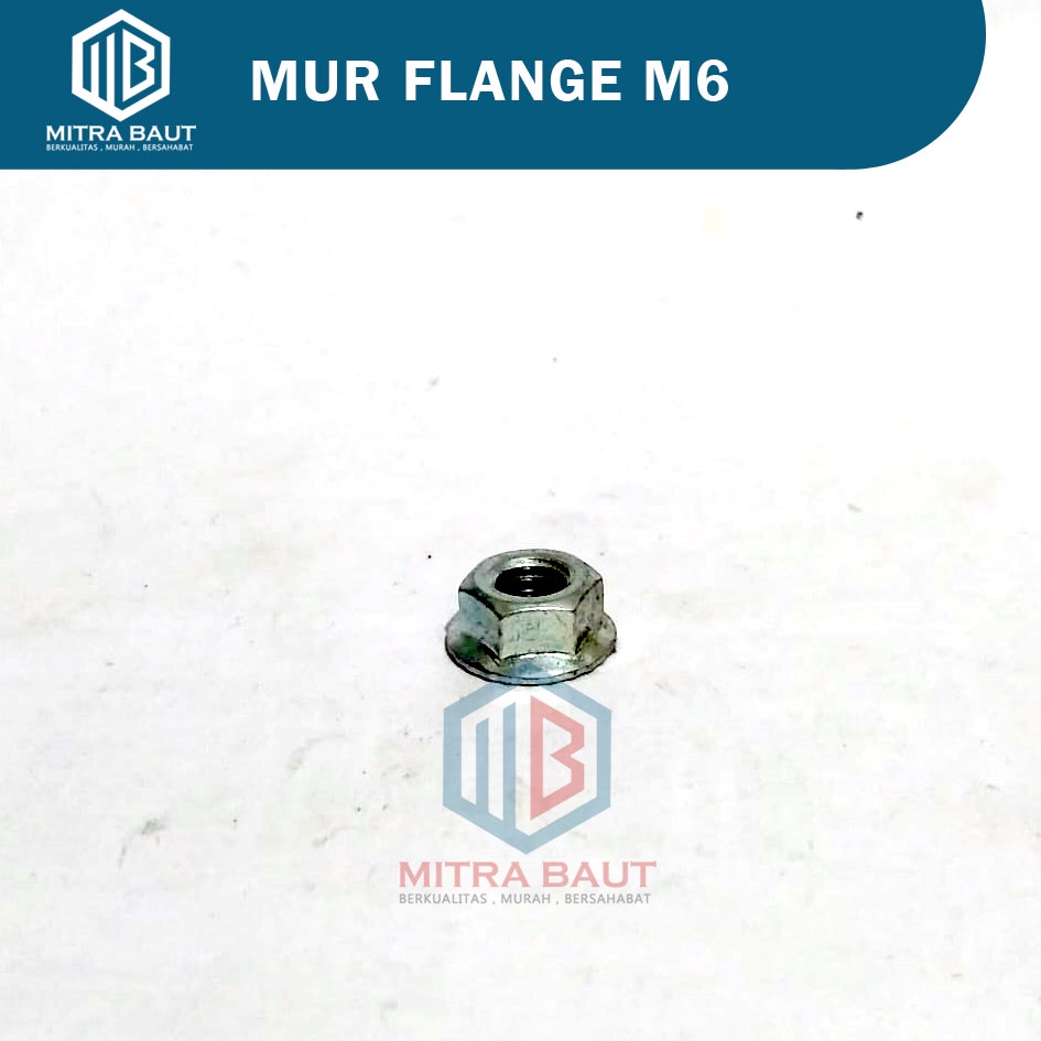 Jual Mur Flange M6 Putih-Nut Flange-Fleng-Pleng 6mm-6 mm-M6-M | Shopee ...