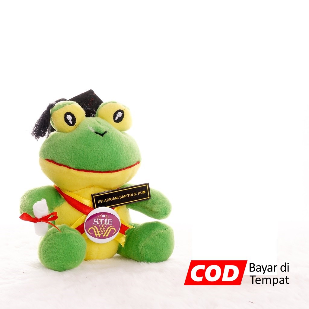 Jual Boneka Wisuda Kodok Keroppi Mini Size Kado Wisuda | Shopee Indonesia