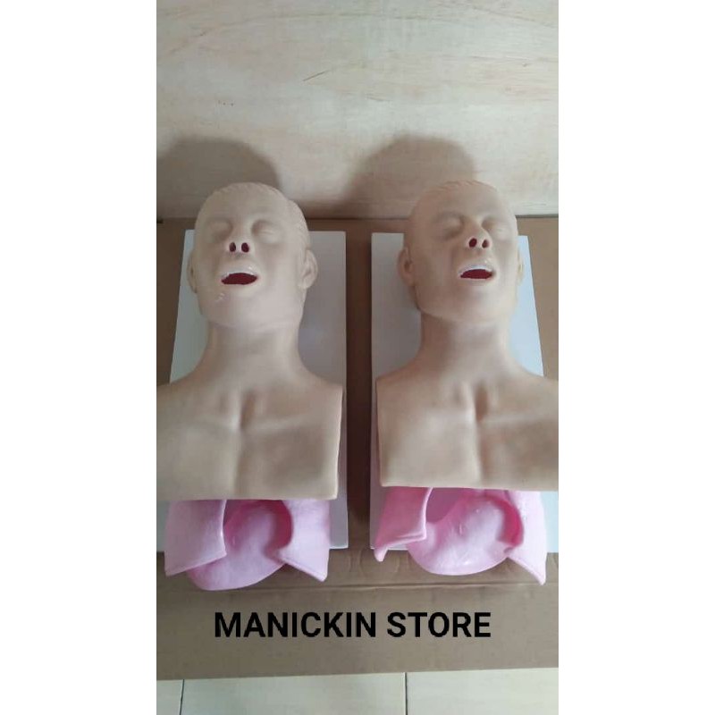 Jual ALAT PERAGA INTUBASI / ALAT PERAGA PHANTOM MANIKIN INTUBASI / ETT AIRWAY | Shopee Indonesia