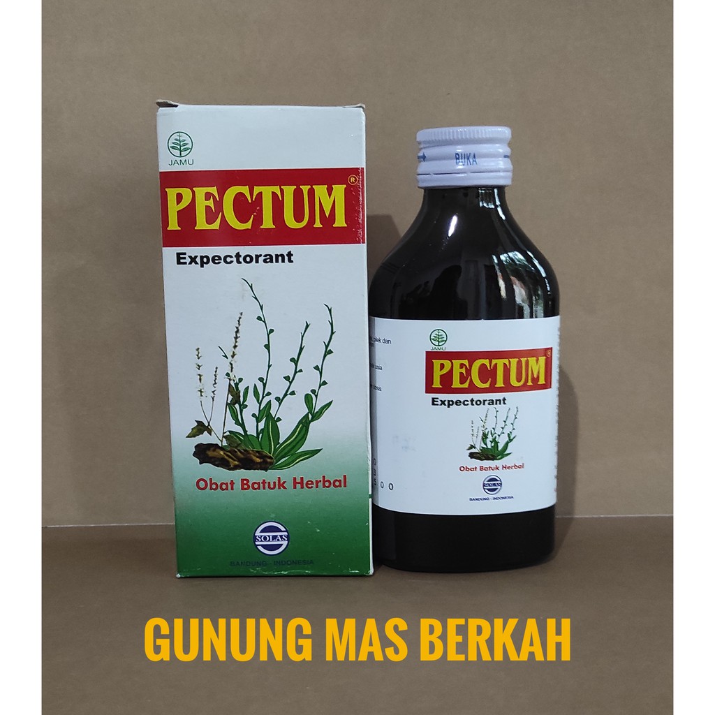 Jual PECTUM SYRUP Pectum Sirup pectum sirup 120 ML - Obat Batuk ...