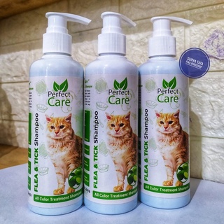 Jual Sampo Kucing Perfect Care sampo kucing anti kutu tungau jamur dan ...