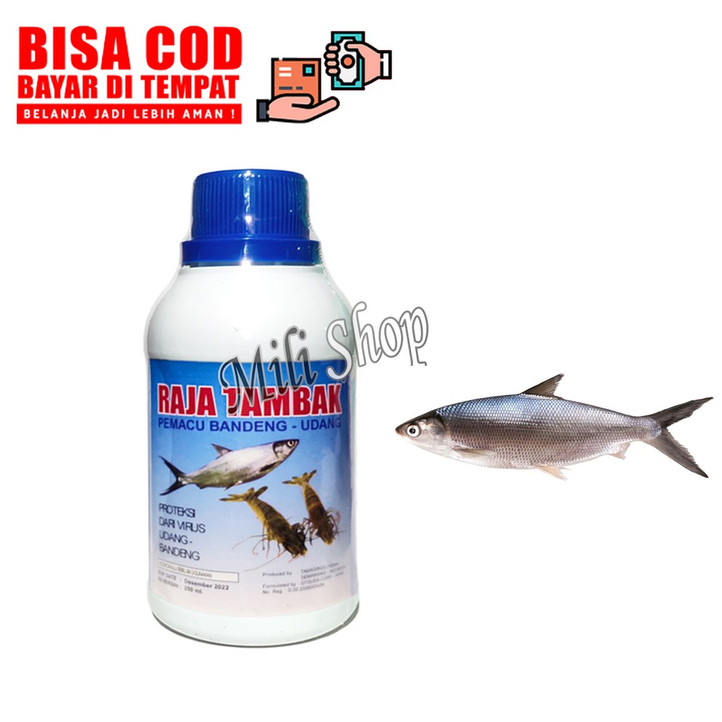 Jual Vitamin Nafsu Makan Cepat Tumbuh Ikan Raja Tambak Antiboitik Ikan Bandeng Udang Nila Mas ...