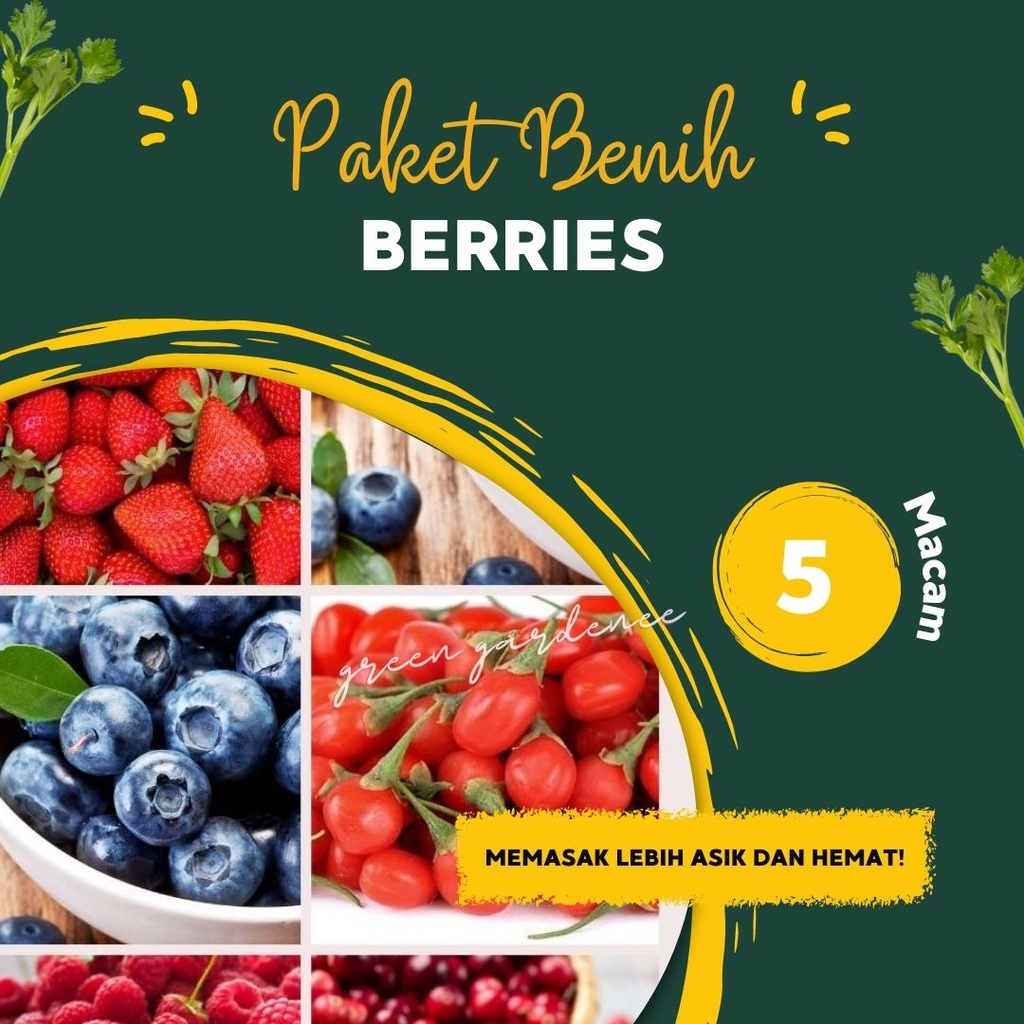 Jual Paket Hemat Biji Benih 5 Jenis Buah Berry Strawberry - Goji Berry ... Jual Paket Hemat Biji Benih 5 Jenis Buah Berry Strawberry - Goji Berry ...