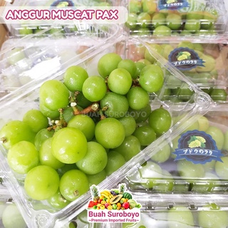 Jual Anggur Shine Muscat Hijau (Pack) | Shopee Indonesia