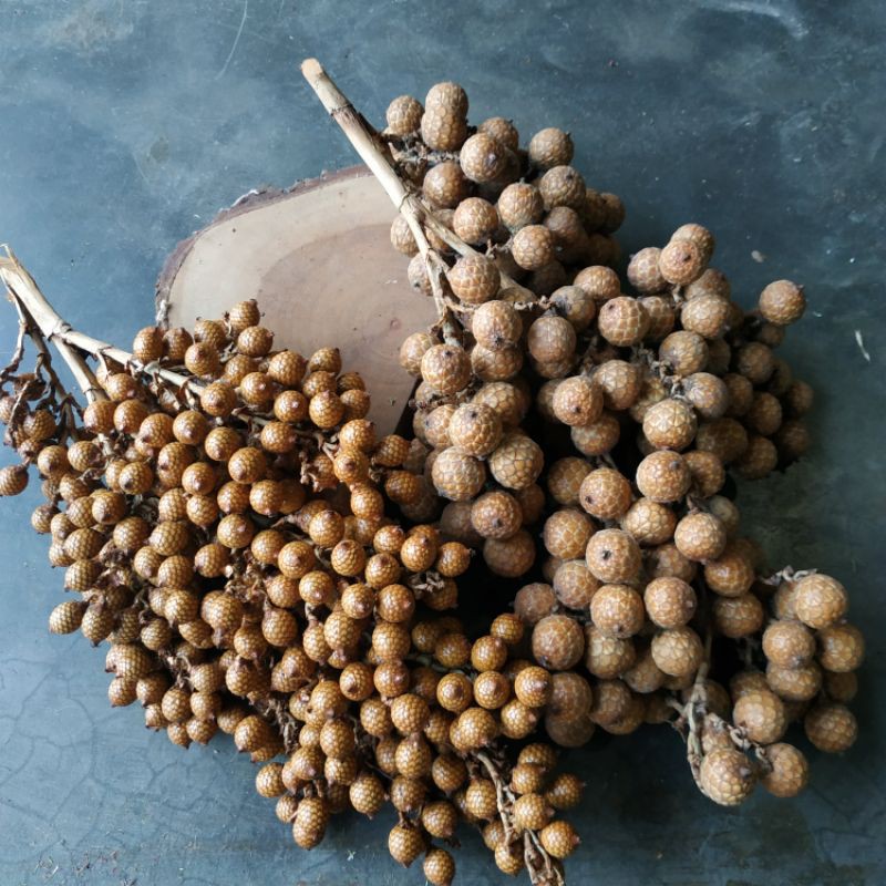 Jual biji rotan bulat tangkai 1000gram / 1kg | Shopee Indonesia