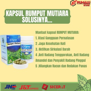 Jual OBAT SUPLEMEN KESEHATAN HERBAL TRADISIONAL RUMPUT LAUT MUTIARA ...
