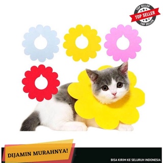 Jual Collar leher kucing model bunga | Shopee Indonesia