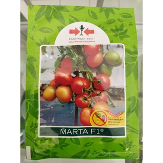 Jual Benih tomat besar MARTA F1 1750butir, tomat buah hibrida cap panah ...