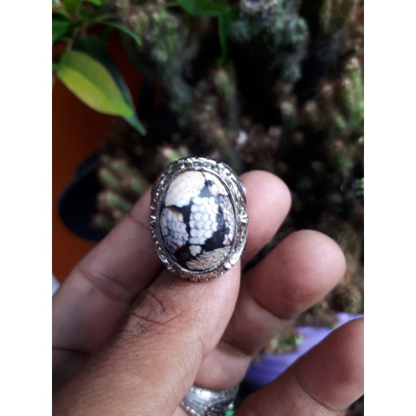 Jual cincin batu akik jipen sisik ular asli natural | Shopee Indonesia