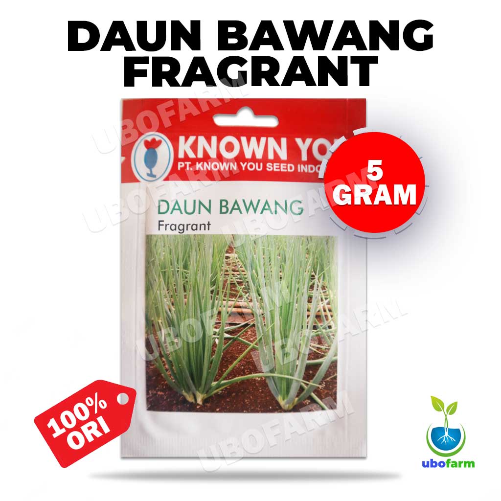 Jual Benih Loncang Daun Bawang Fragrant Cap Known You Seeds KYS isi 5 ...