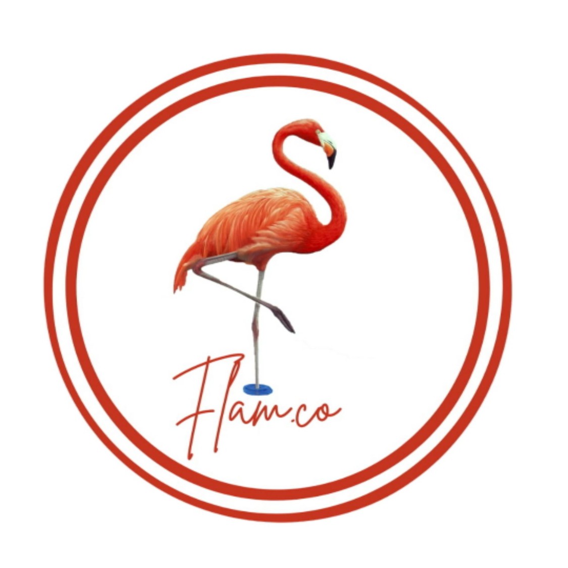 Produk Flam.co | Shopee Indonesia