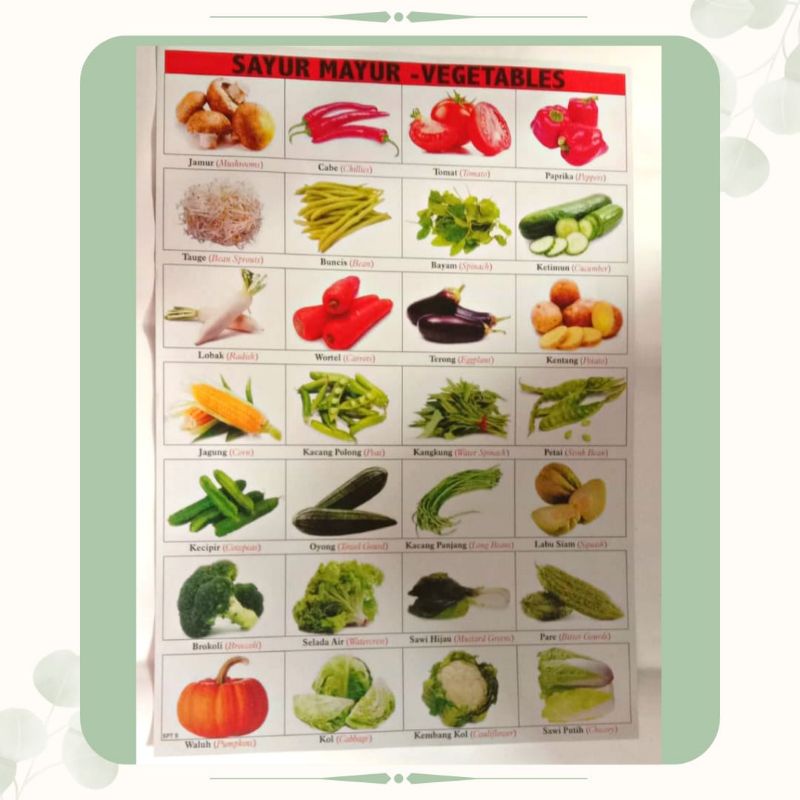 Jual TM | POSTER SAYUR MAYUR VEGETABLES | POSTER EDUKASI SAYURAN ...