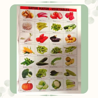 Jual TM | POSTER SAYUR MAYUR VEGETABLES | POSTER EDUKASI SAYURAN ...