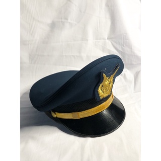 Jual Topi pet PDU TNI AU untuk upacara | Shopee Indonesia