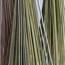Jual Sapu Lidi Pohon Aren Berkualitas P 75 Cm | Shopee Indonesia