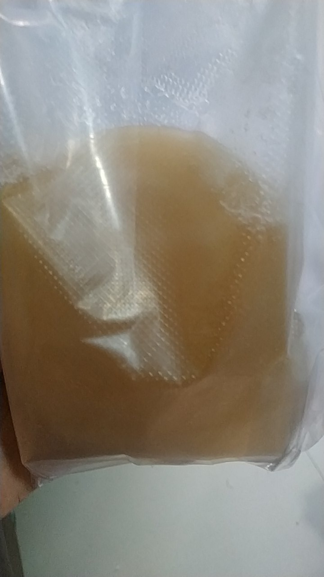 Bibit Scoby Jamur Kombucha | Shopee Indonesia