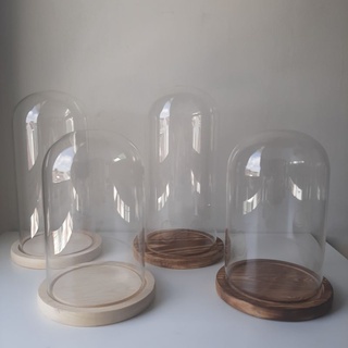Jual glass dome kaca bunga kering preserved flower Indonesia|Shopee ...