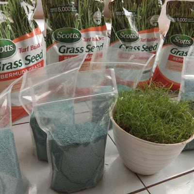 Jual Benih biji rumput bermuda lapangan sepak bola - rumput golf ...