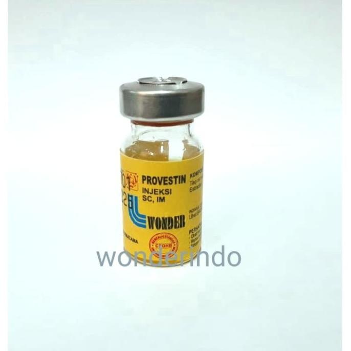 Harga Progesteron Injeksi Terbaru Nov 2024 |BigGo Indonesia