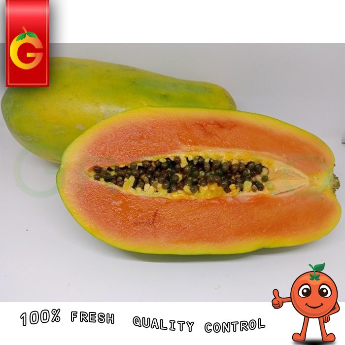 Jual PEPAYA CALIFORNIA MANIS | Shopee Indonesia