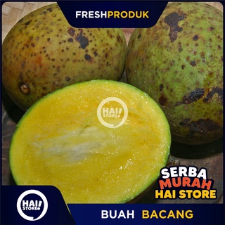 Jual Buah Bacang Pakel Limus Masih Mentah Buat Rujak harga satuan ...