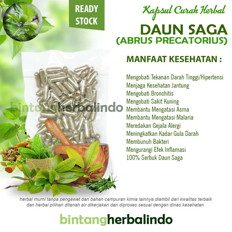 Jual DAUN SAGA 100 Kapsul Herbal Asma Sakit Kuning Alergi Hipertensi ...