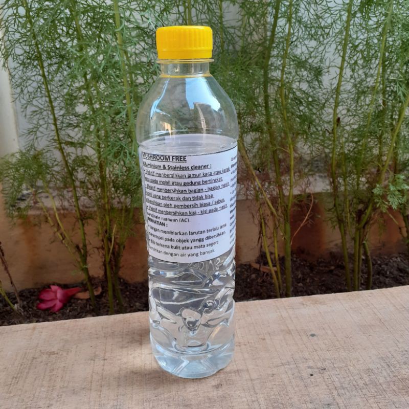 Jual pembersih jamur kaca 500ml | Shopee Indonesia