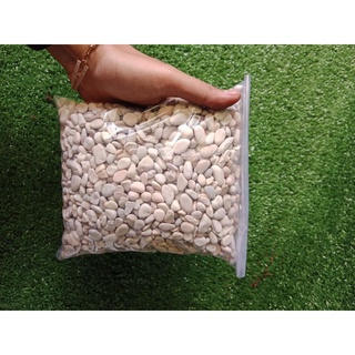 Jual Batu coral putih kecil 1kg, batu taman kecil, batu sikat, batu ...