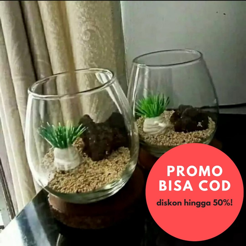Jual vas bunga kaca / bejana tanaman air / pot glass unik aesthetic ...
