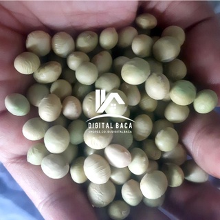 Jual Benih Kedelai Edamame Kualitas Super NIPPON EDAMAME Kemasan isi ...