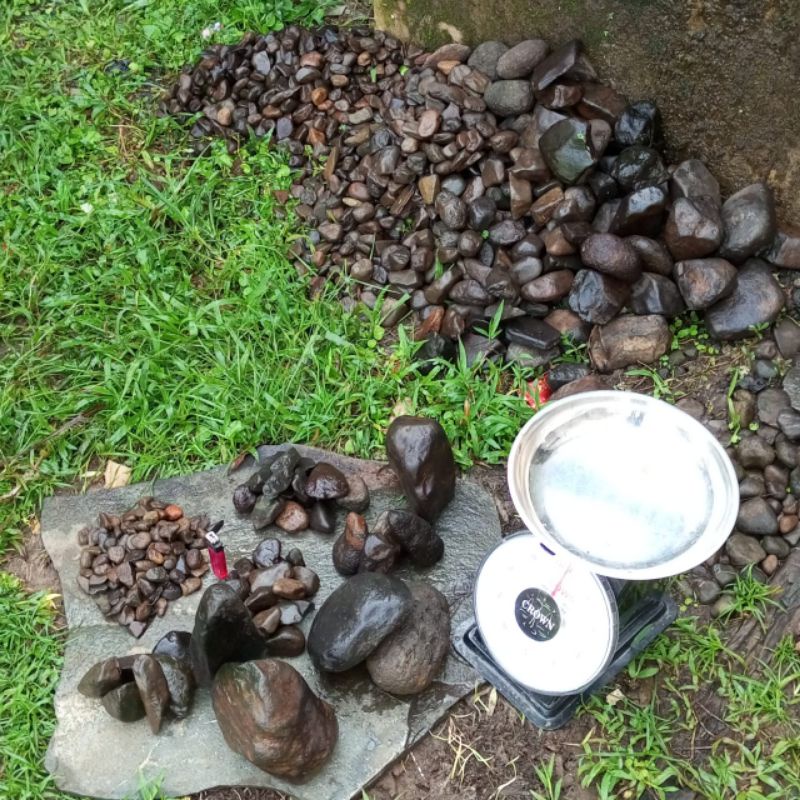 Jual Batu kali batu Decorasi taman dan kolam ikan hias Aquarium ...