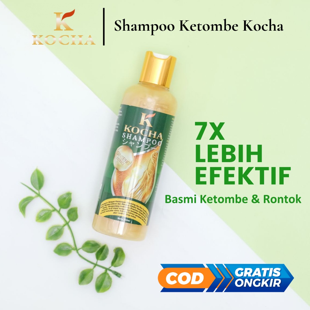 Jual Kocha Shampoo Obat Anti Ketombe Dandruff dan Hair Tonic Rambut Rontok Obat Penghilang ...