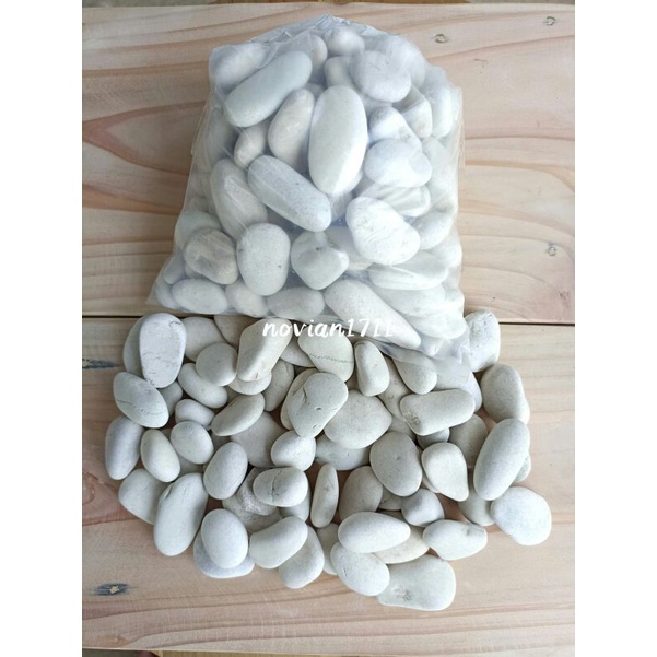 Jual Batu coral putih 1kg Indonesia|Shopee Indonesia