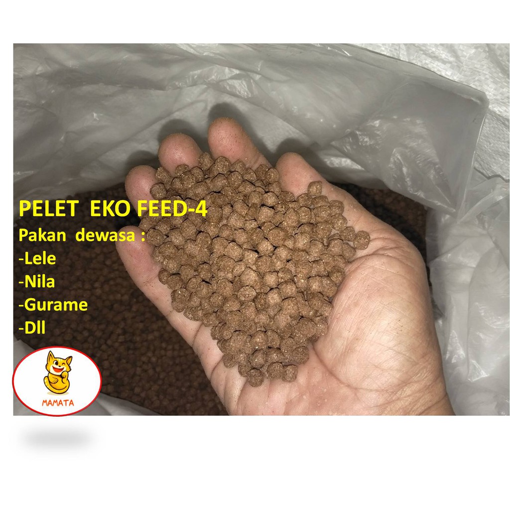 Jual Pelet EKO 4 pakan ikan lele gurame nila DEWASA PELET APUNG kemasan ...