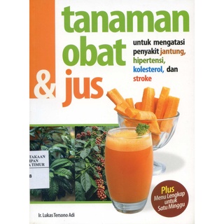 Jual DAUN TAKOKAK SEGAR - Takokak / Tekokak (solanum torvum) | Shopee ...