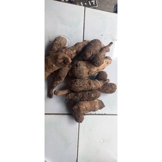 Jual umbi talas kimpul/talas kampung 1kg | Shopee Indonesia