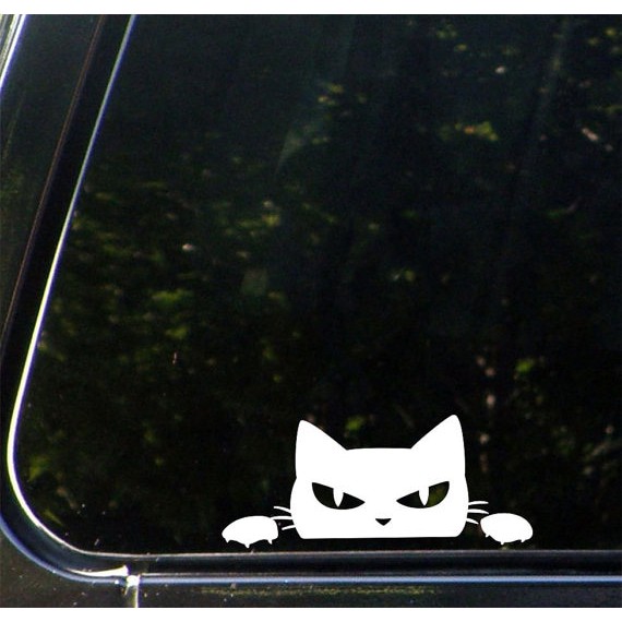 Jual Sticker Angry Cat / Kucing Pemarah New | Shopee Indonesia